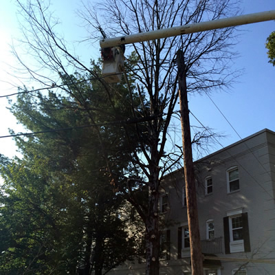 About Us - Master Tree Tech